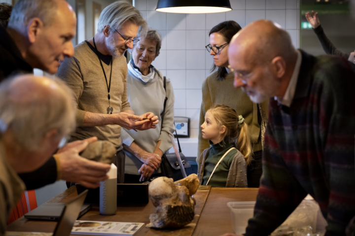 Collection | Naturalis